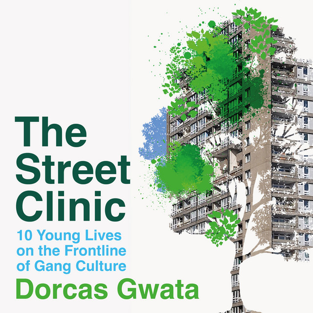 The Street Clinic: Stories of Gangs and Violence, Care and Compassion ...