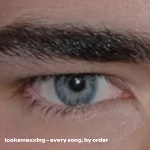 Looksmaxxing - Every song, by order - playlist by BlamedPhantom | Spotify
