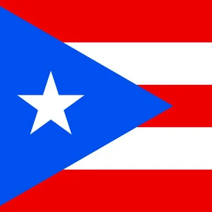 Hip Hop Puertoriqueño/ Rap Puertoriqueño/ Hip Hop P. Rican/ Rap P ...