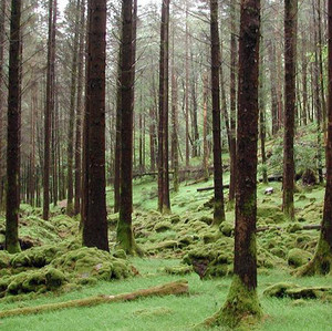 Irish Folklore To Listen To While Riding Your Noble Steed To Work ...