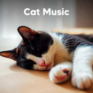 Cat Music - playlist by Relaxing Cat Club | Spotify
