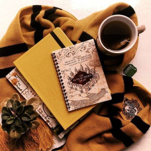 HufflePuff Vibes - playlist by Bl.3b3rryyy | Spotify