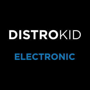 DistroKid Electronic - playlist by DistroKid | Spotify