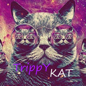 Trippy Kat Om Nom Nom, An Art Print By Kat Tru INPRNT