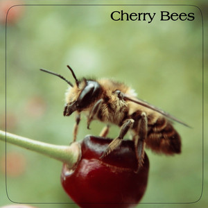 Cherry Bees - playlist by Pao Ram San | Spotify