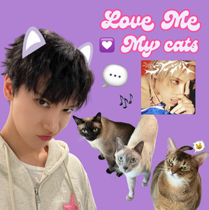 [03/10] Love Meล์, Love my cats and my songs - playlist by STreamFOR ...