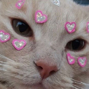 sweet dreams & fri(end)s ☁️ - playlist by bastet⭑ | Spotify