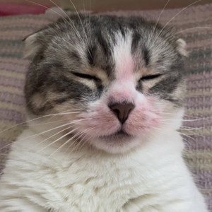 22 22 Playlist By 蛤 Spotify