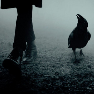 Nevermore ☔︎︎ - playlist by corpse_hands | Spotify