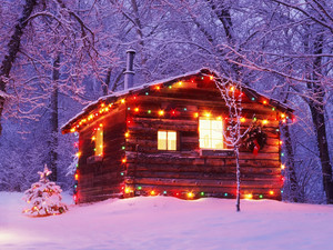 A Very Tolerable Christmas - playlist by NPR Music | Spotify