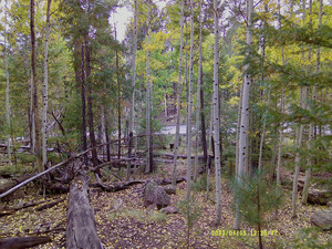 A Lizzy Mcalpine Fall Playlist By Rhi Spotify