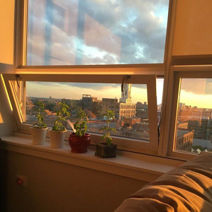good morning, i just wanna say that - playlist by Izzy Kwan | Spotify