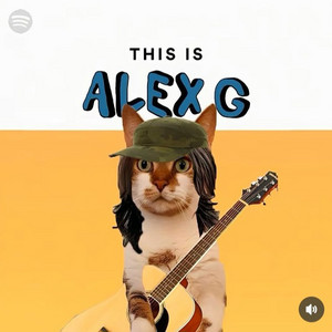 Alex G Playlist By Gato Spotify