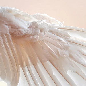Angelkin~☆} - playlist by °∆𝕏𝔼ℕ𝕌𝕊 ∆° | Spotify