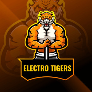 ELECTRO TIGERS - playlist by ALTERKIX | Spotify