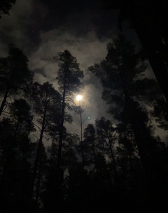 Moonlight mix 🌕⛈️ - playlist by ㋡𝘓𝘪𝘭𝘺㋡ | Spotify