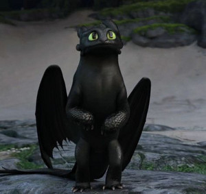 +-_Toothless playlist_-+ - playlist by Toothless/Yanira | Spotify