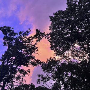 opias interactions - playlist by Olivia | Spotify