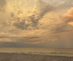 Main Playlist By Sophia Spotify