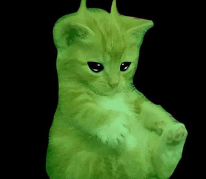 Alien cat songs!🐱👽💚 - playlist by 7/11.(w4lsh1zd3d)😈 | Spotify