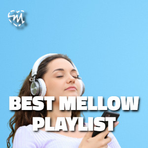 Mellow Playlist | Slow Playlist | Popular Slow Songs | Soft Music For ...