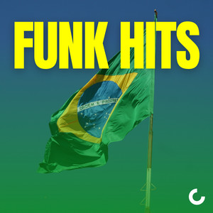 FUNK DO BRASIL 🇧🇷 FUNK HITS 2025 🔥 - playlist by Calypto | Spotify