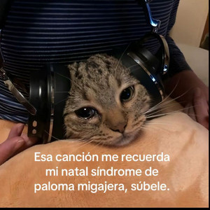 Pa' migajear 🍞 - playlist by Quetzali Acosta | Spotify