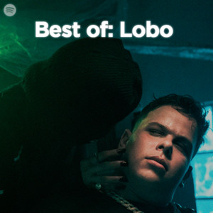 Best of: Lobo - playlist by Lobo | Spotify