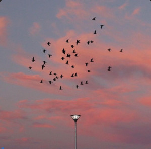 Soft but lost..(Still sounding great :) - playlist by Pushpa Mishra ...