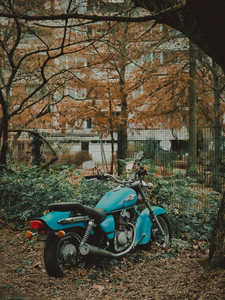 Rustic Rhythms - playlist by Harana Music | Spotify