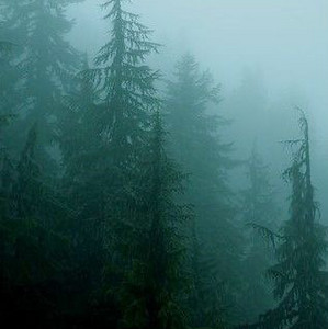 left me so lonely (˶′ ‵˶) - playlist by linus.berglund | Spotify