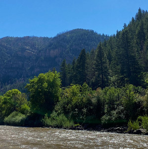 Take Me to the River (I Will Swim) - playlist by chandler.beals | Spotify