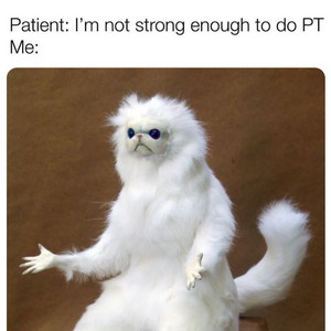 PT Clinic Jams and Bops - playlist by maddie_pluta | Spotify