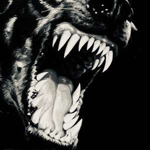 vida - playlist by FRIX | Spotify