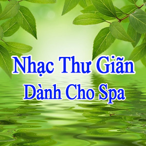Nhạc Thư Giãn Dành Cho Spa Hay Nhất - playlist by Nhạc Spa Thư Giãn ...