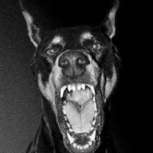 BRIXTON BULLY***- - playlist by atharv | Spotify