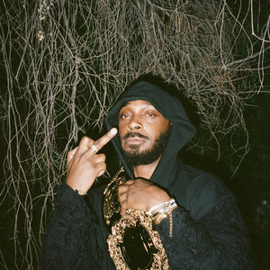 JPEGMAFIA/Devon Hendryx's Full Discography - playlist by Yung Abes ...