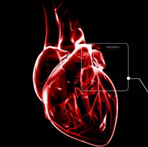 heart - playlist by f | Spotify