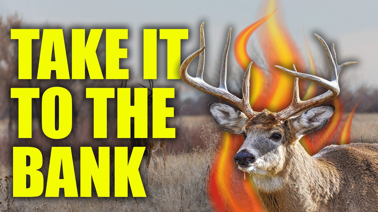 #397 - The BIGGEST Problems in Deer Hunting That No One Wants to Talk ...