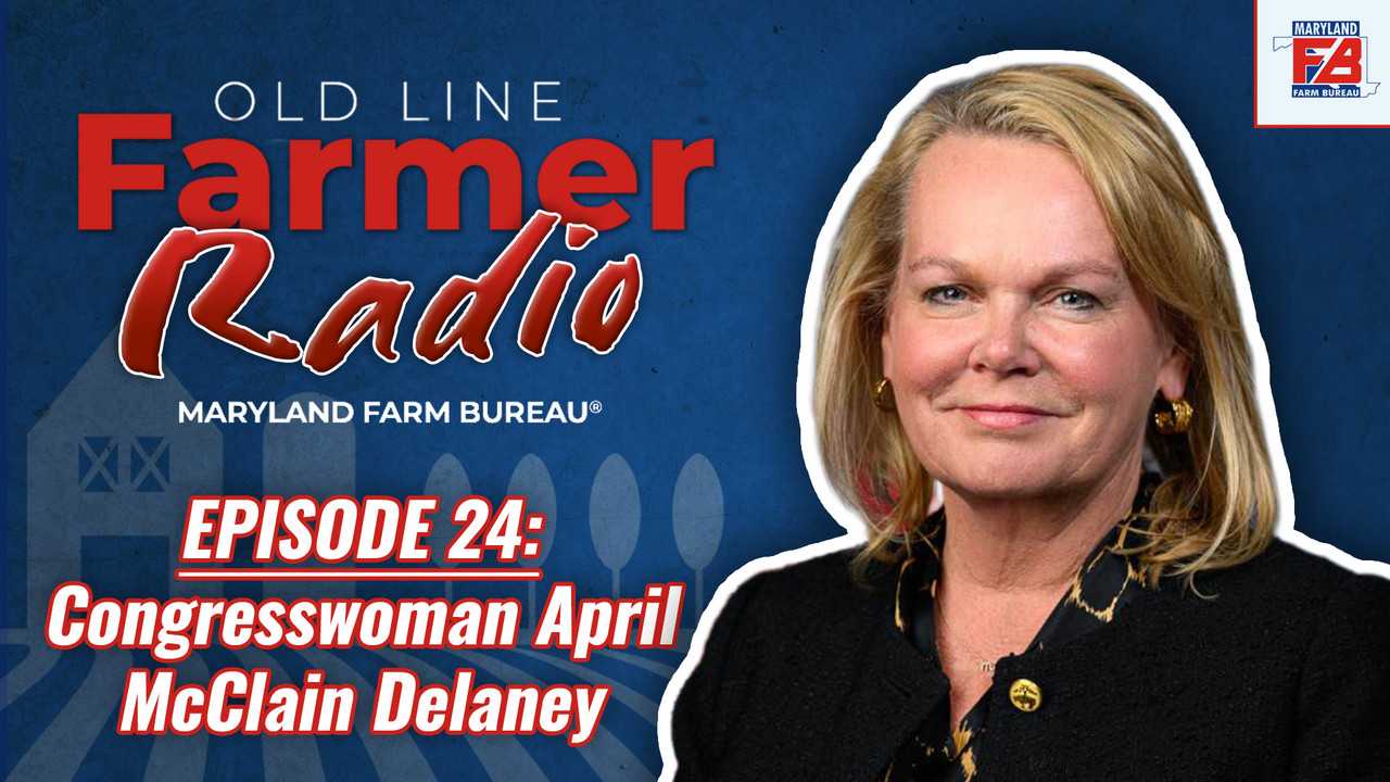 Rep. April McClain Delaney on the House Ag Committee, USDA ...