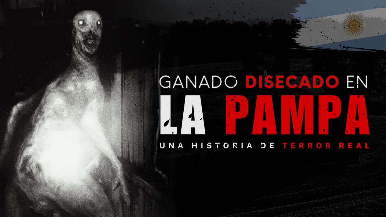 GANADO DISECADO EN LA PAMPA | UNA HISTORIA DE TERROR REAL # ...