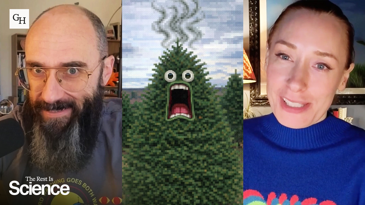The Smell Of Christmas Is Tree Screams - The Rest Is Science | Podcast ...