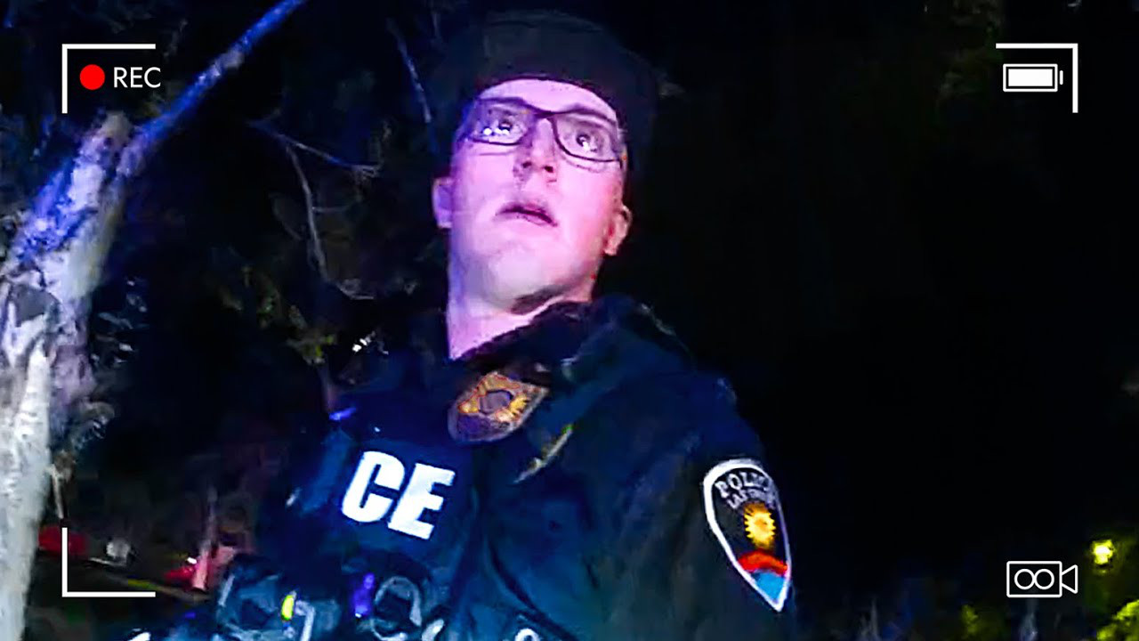 Patrol Cop Discovers Severed Head In Children's Park - Dr. Insanity ...